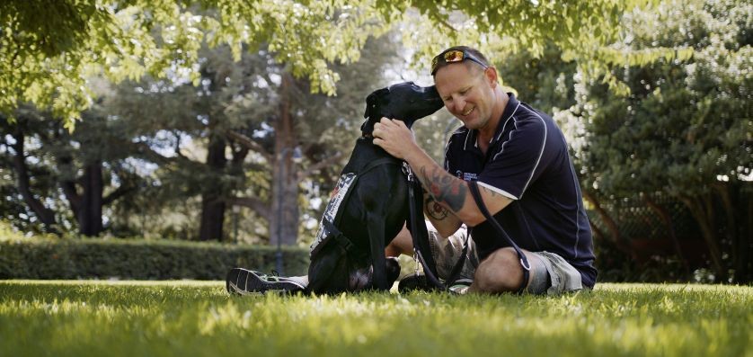 Defence Community Dogs Supporting Defence Personnel | Avalon Australian ...